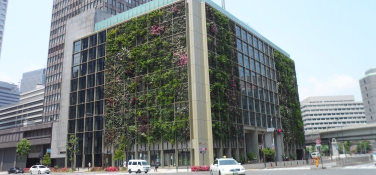 Urban Farm: Discover Pasona O2